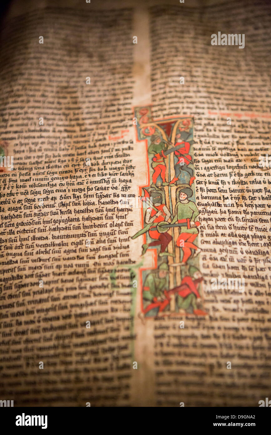 Pages of medieval manuscripts dated back to the 13th century. The ...