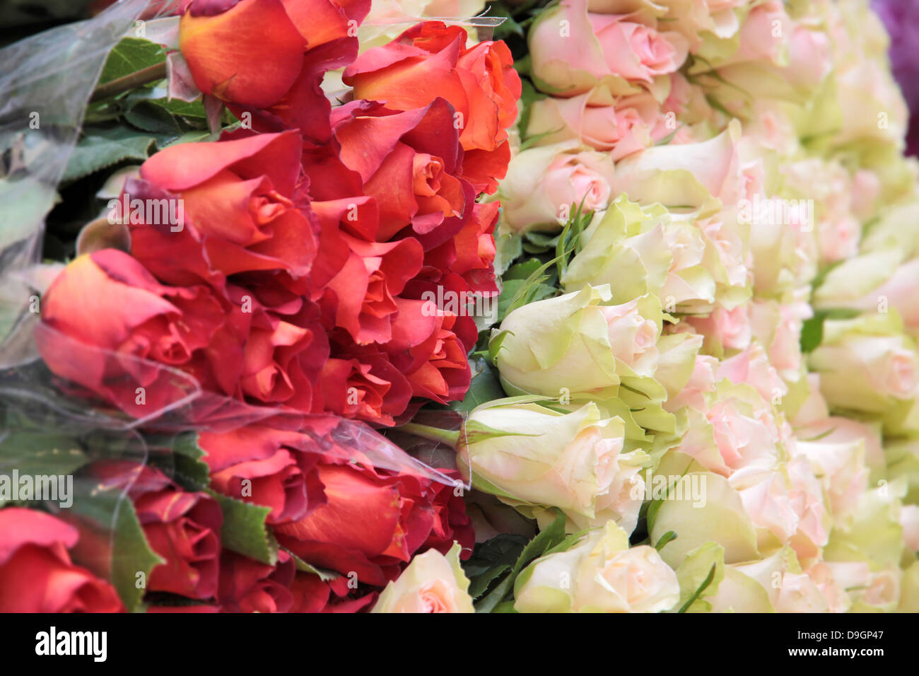 Big bunch of flowers hi-res stock photography and images - Alamy