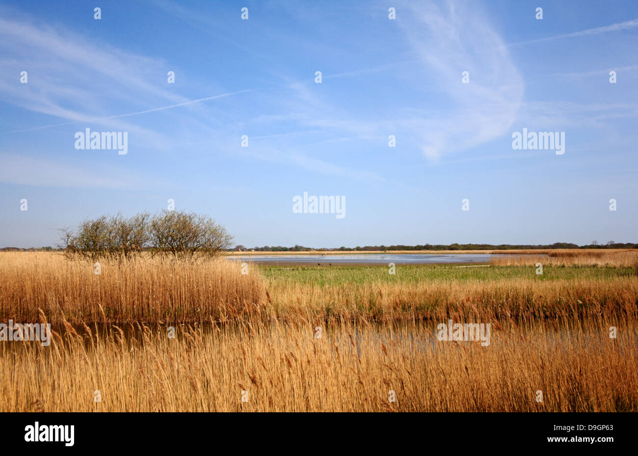 Weavers way norfolk hi-res stock photography and images - Alamy