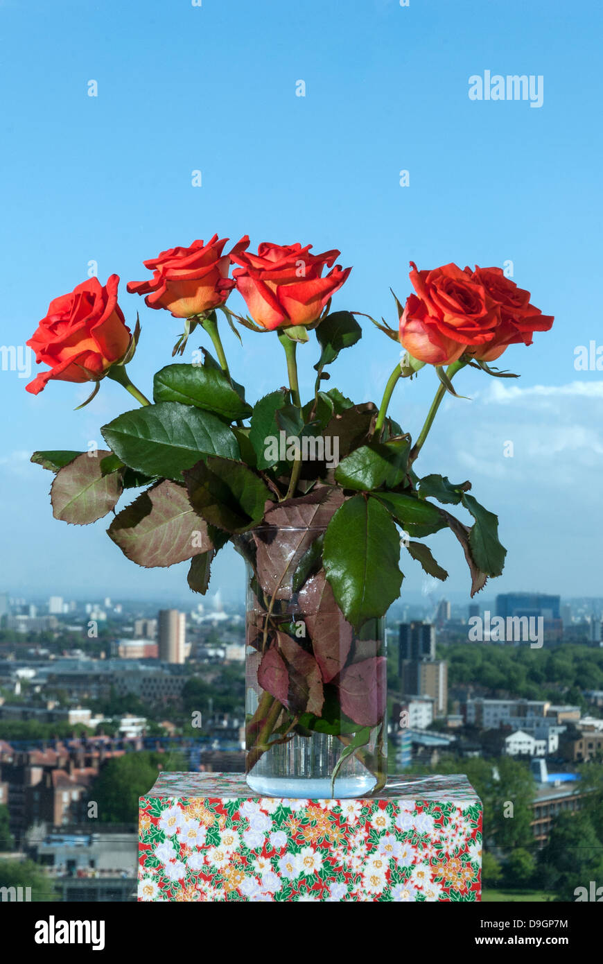 Front Window Blossom, Flower an Cactus Stock Photo - Alamy
