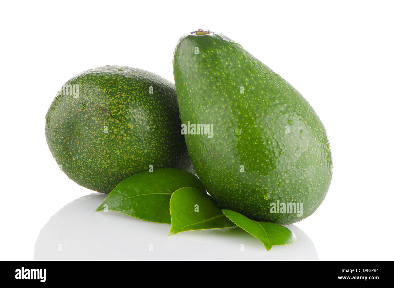 Avocado fruits on white background Stock Photo - Alamy