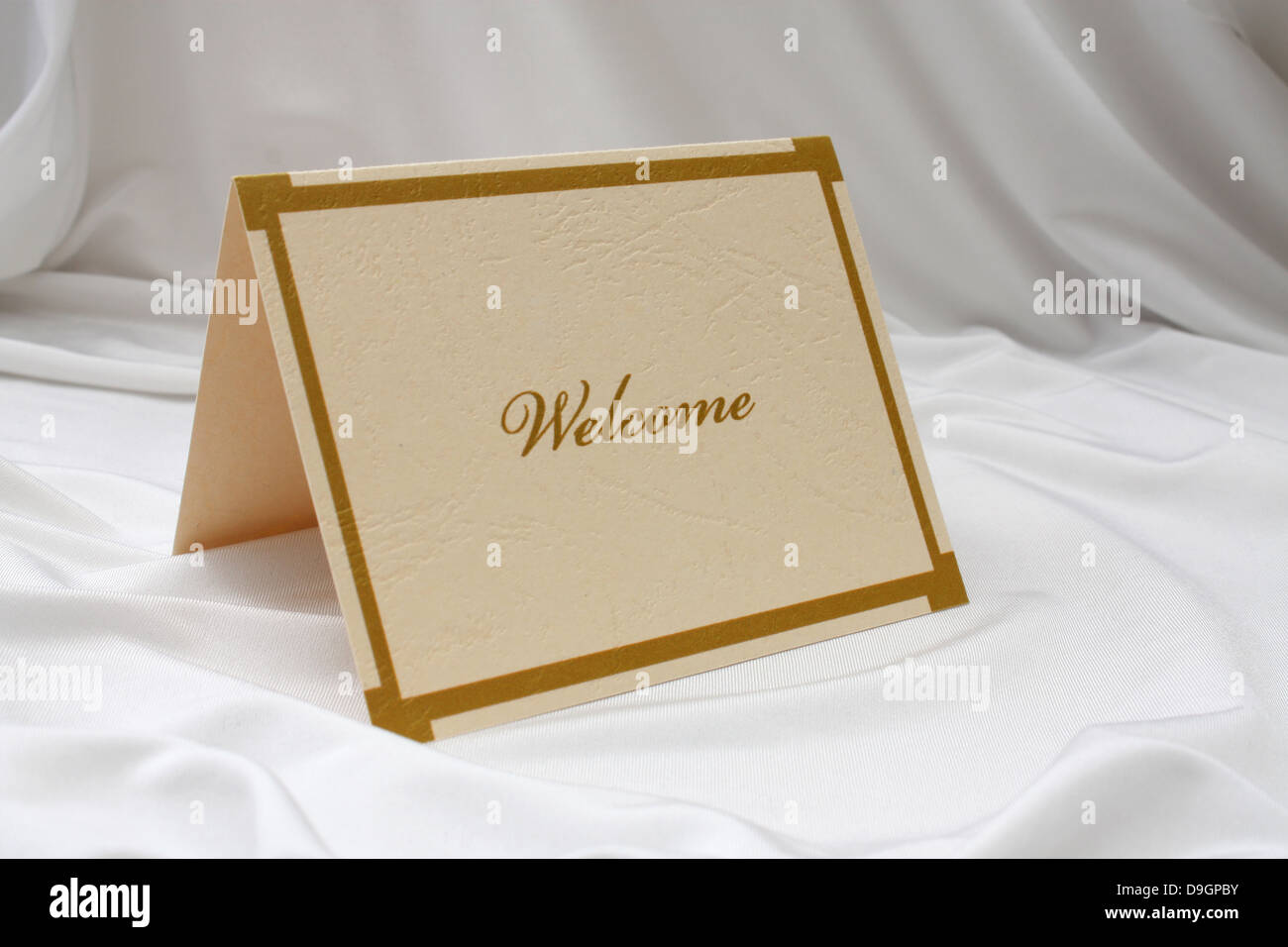 Welcome Brush Lettering Card Calligraphy High Resolution Stock ...