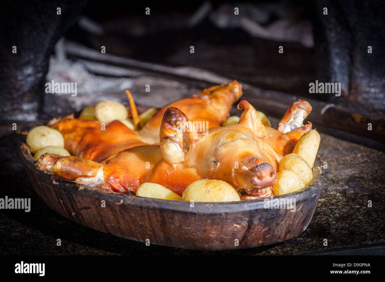 Suckling Pig in oven Stock Photo - Alamy