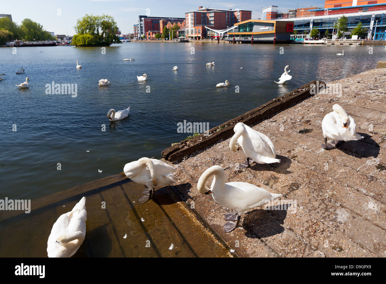 Lincoln uk brayford pool waterfront hi-res stock photography and images ...