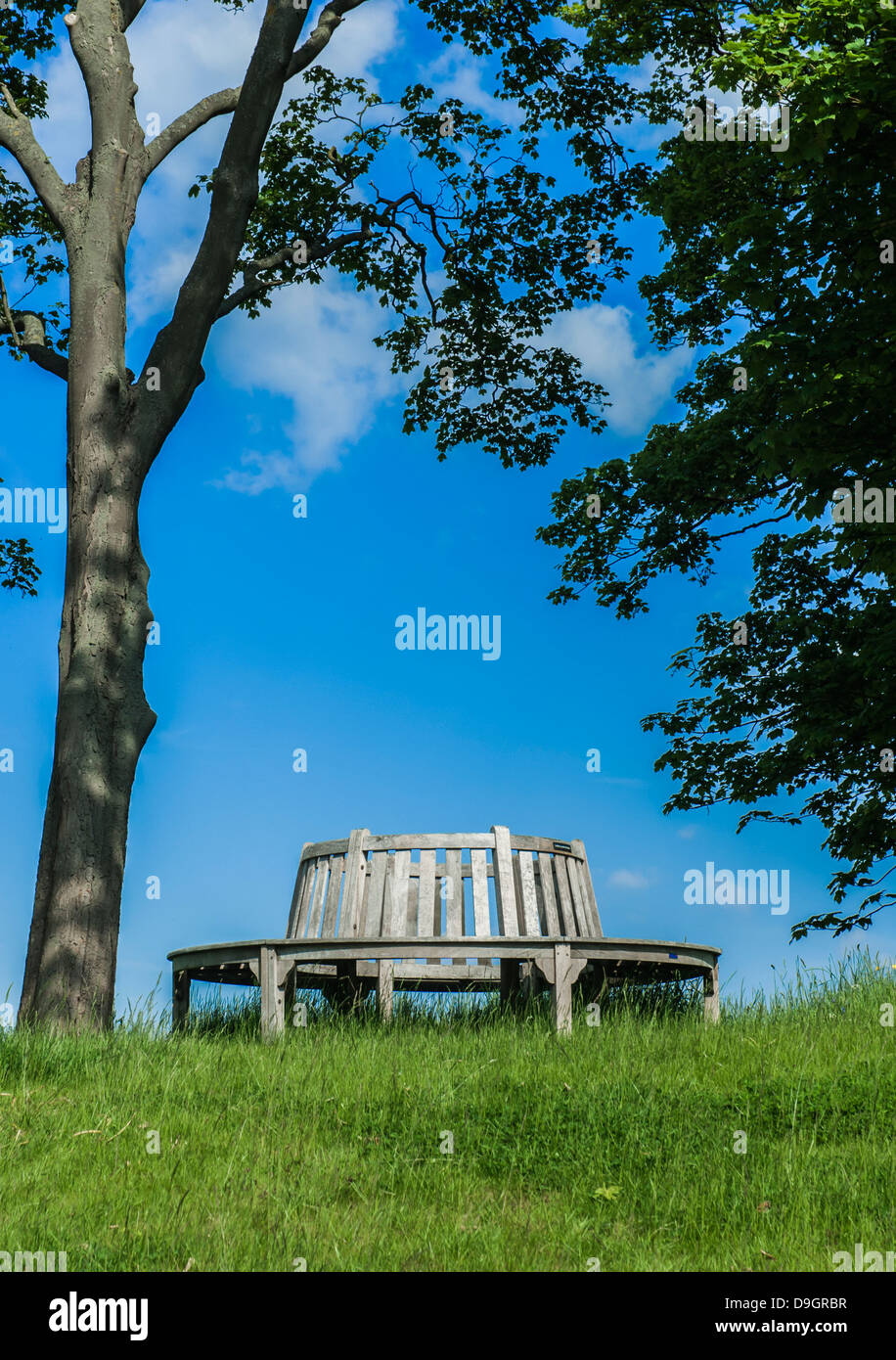 Wooden circular garden bench hi-res stock photography and images - Alamy