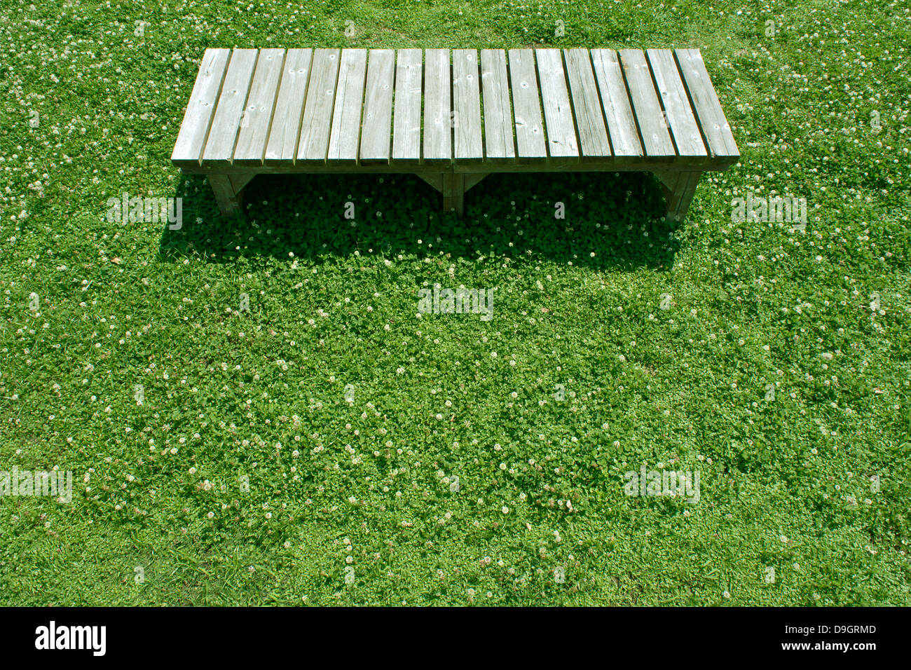Clover field and bench Stock Photo - Alamy
