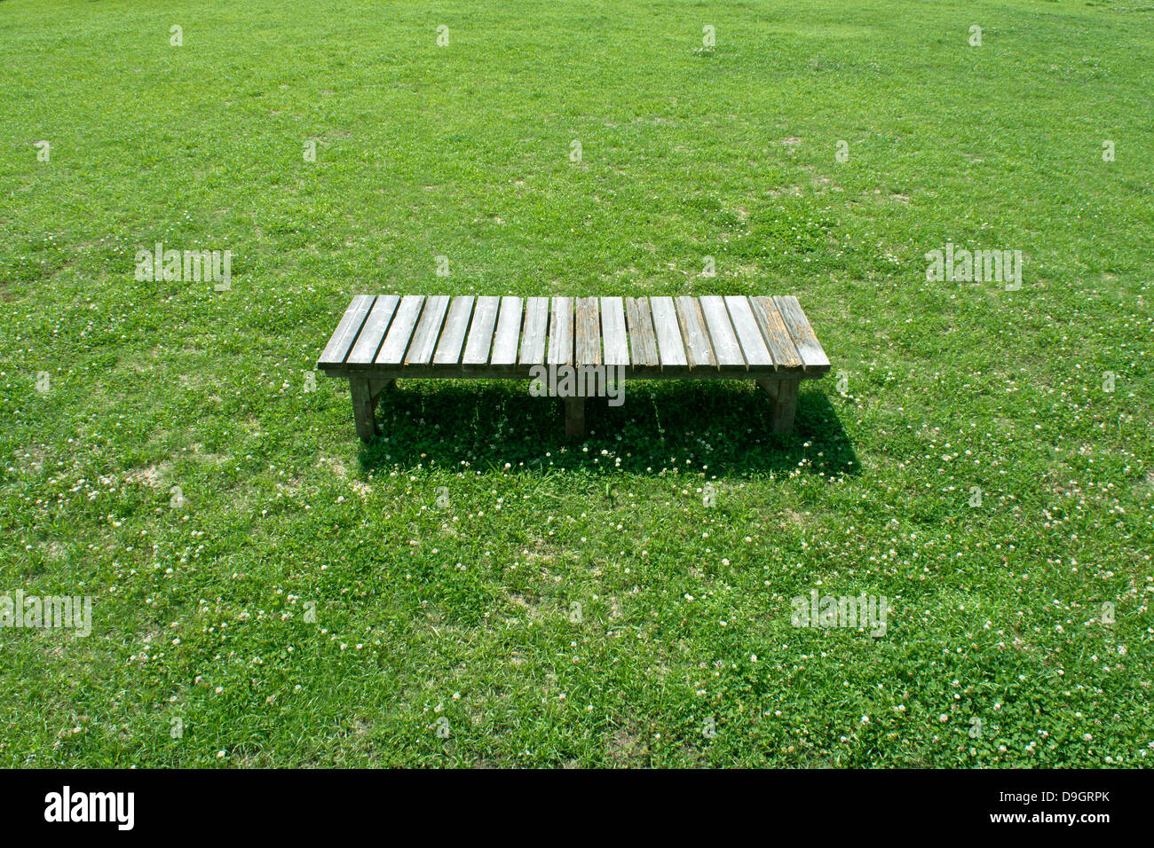 Clover field and bench Stock Photo - Alamy