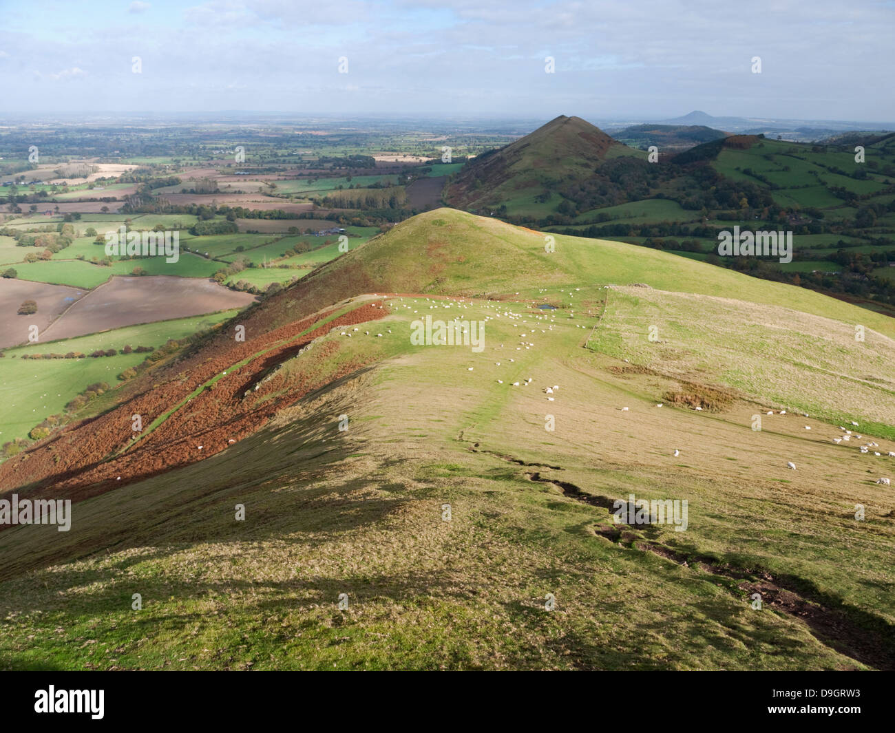 View north along the ridge of Caer Caradoc, showing The Lawley and a ...