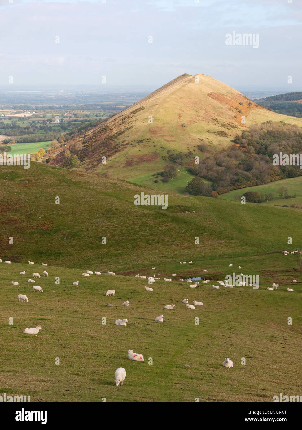 The Lawley viewed from the neighbouring hill of Caer Caradoc, in the ...