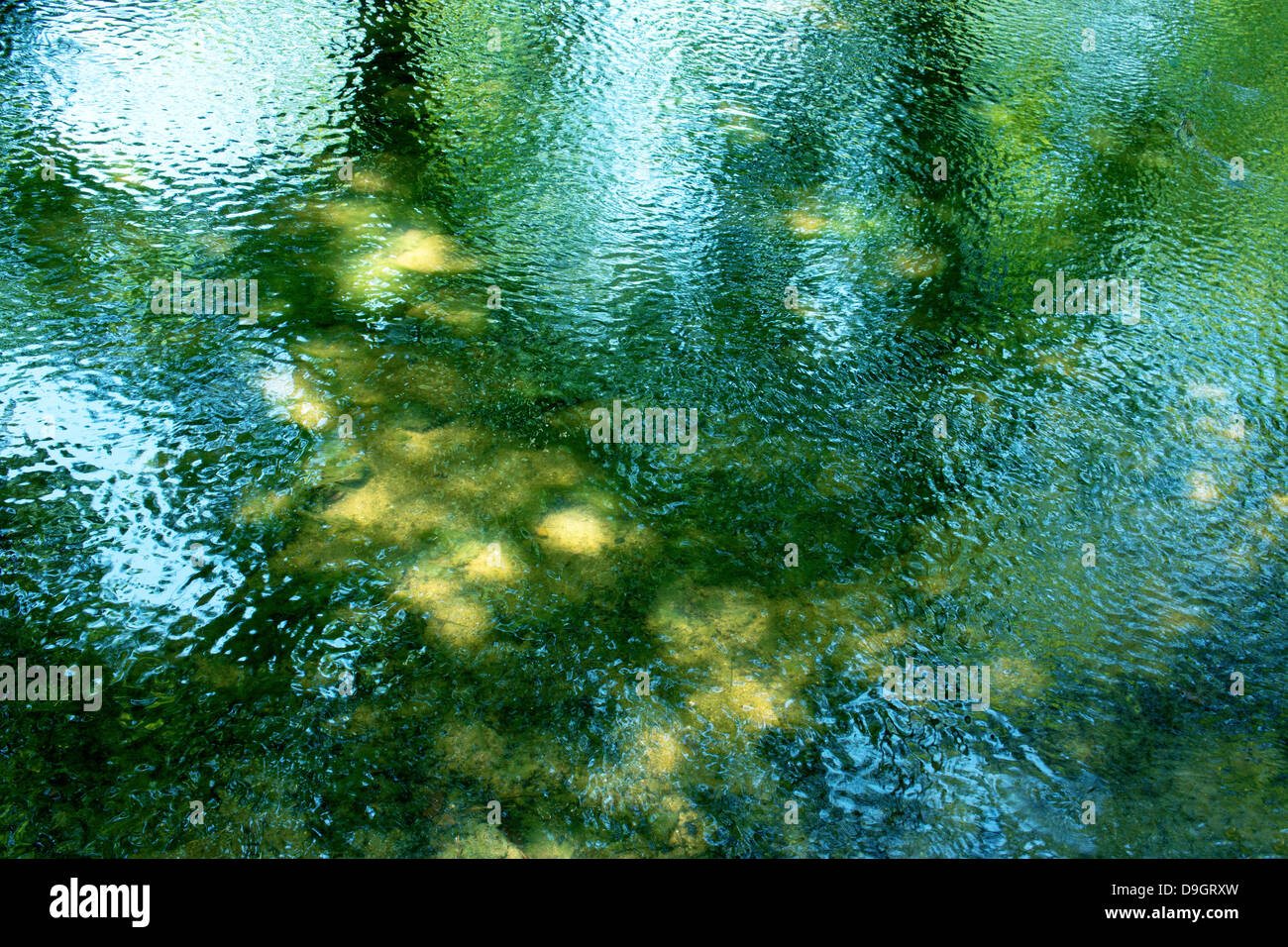 Reflections on a pond Stock Photo - Alamy