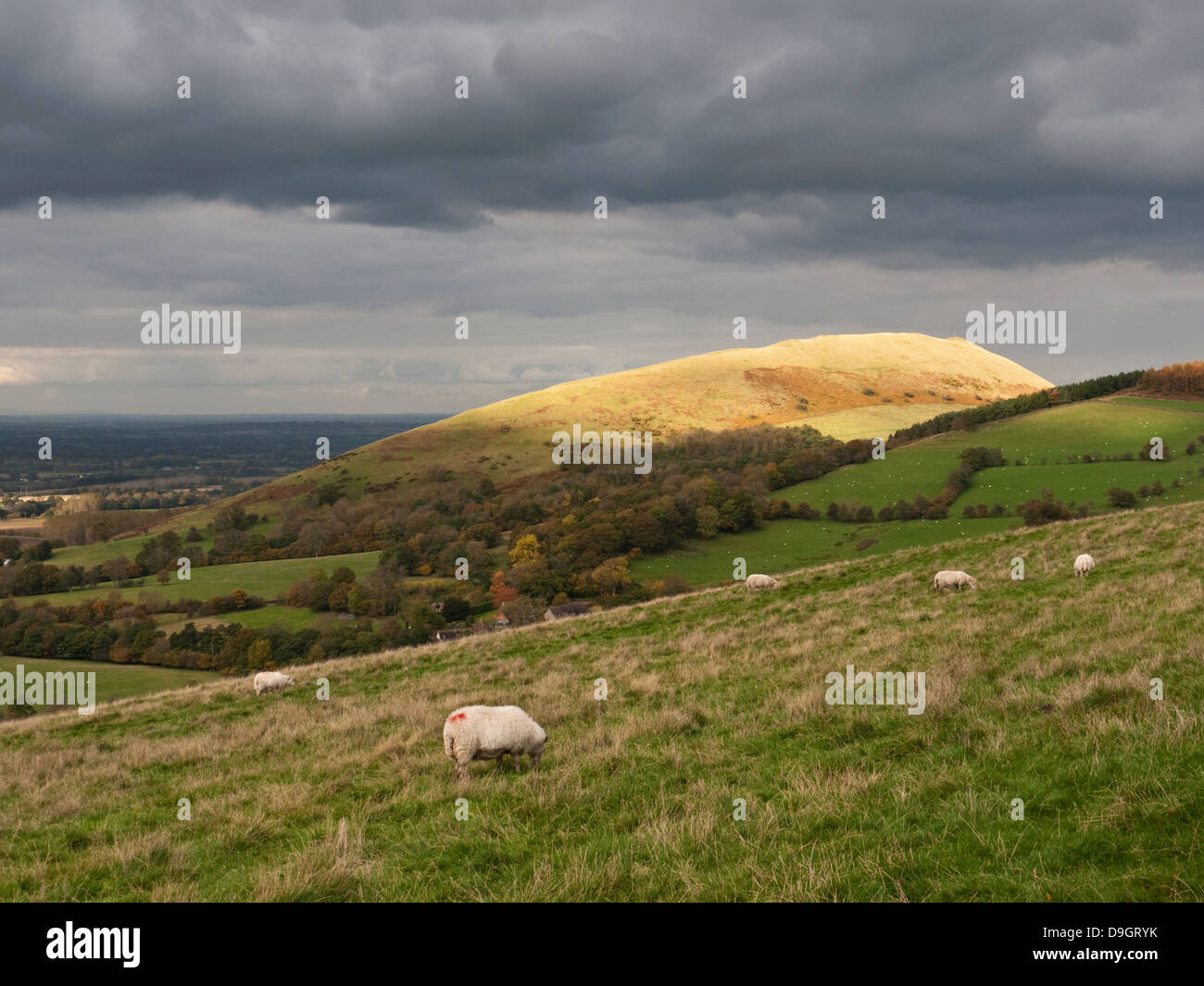 Sunlight illuminates the Lawley, a hill in the Shropshire Hills area of ...