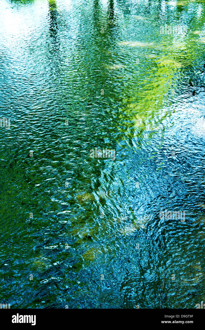 Reflections on a pond Stock Photo - Alamy