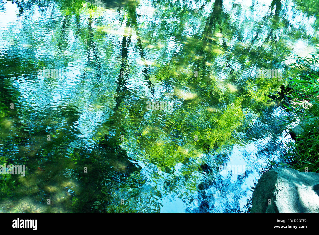 Reflections on a pond Stock Photo - Alamy