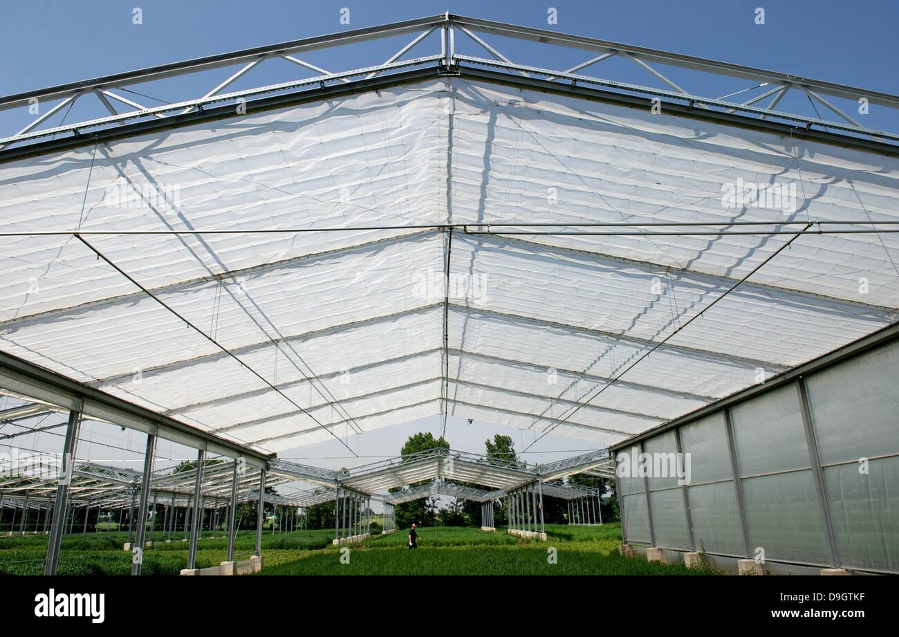 Five meters high steel constructions with mobile roofs and side walls ...