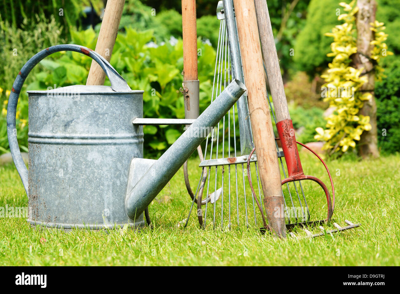 Can make and use tools hi-res stock photography and images - Alamy