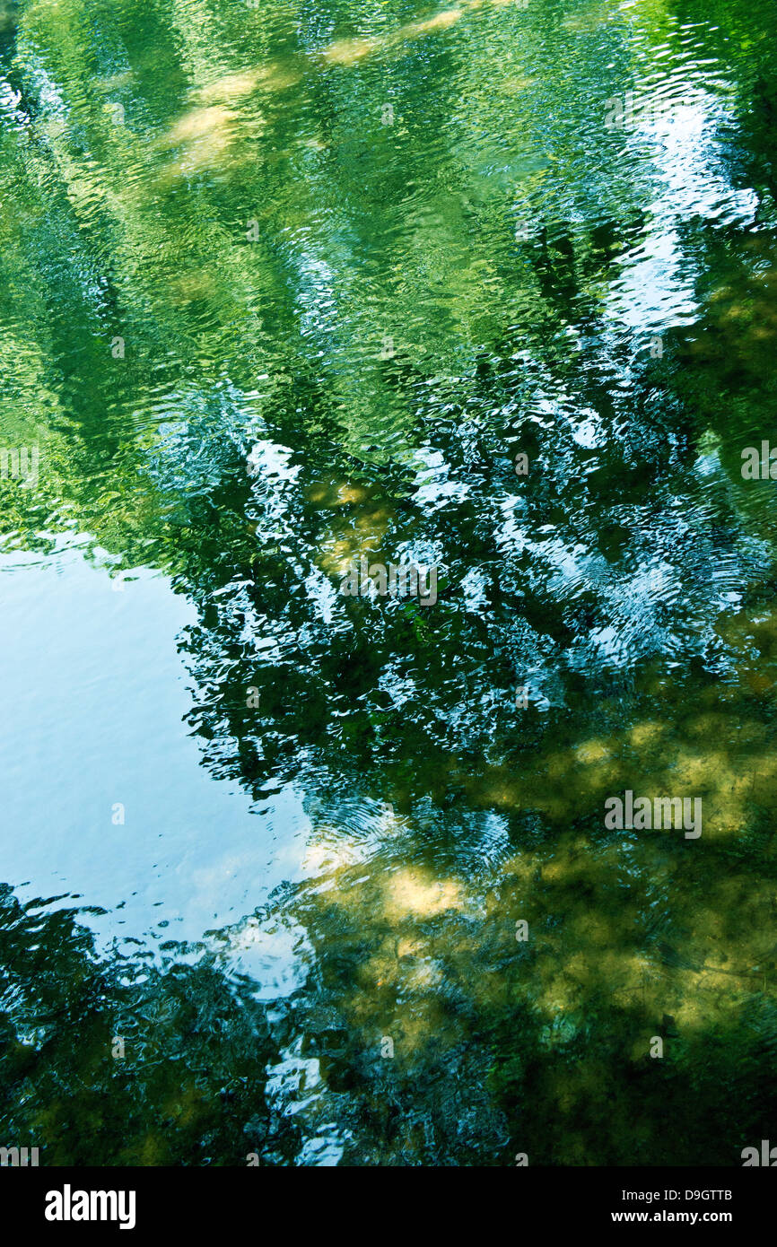 Reflections on a pond Stock Photo - Alamy