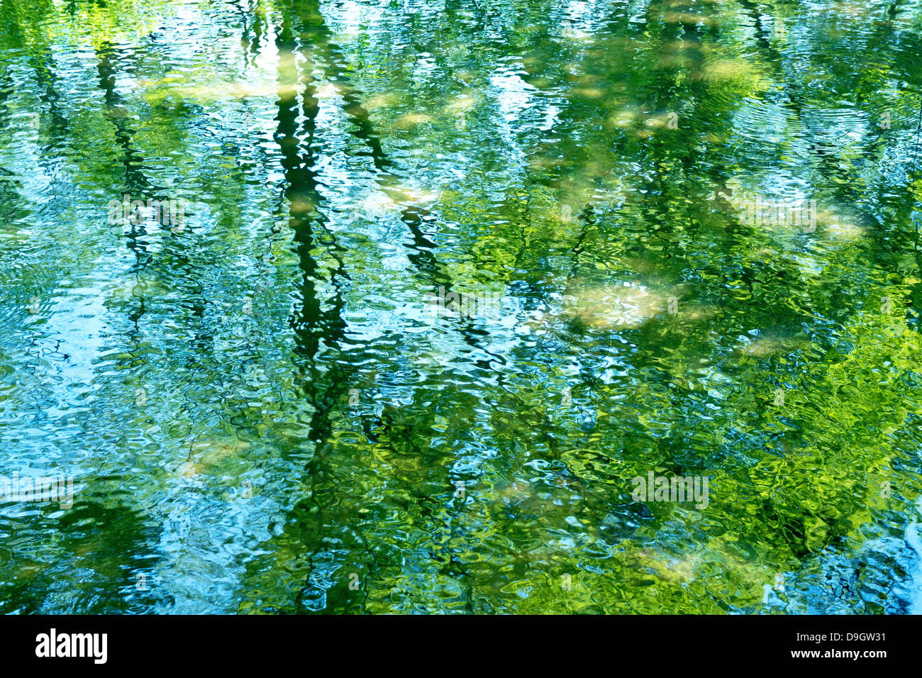 Reflections on a pond Stock Photo - Alamy