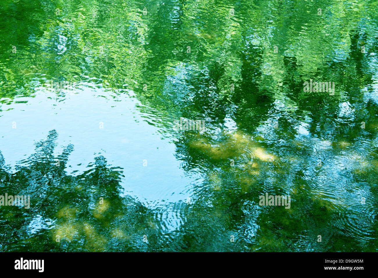 Reflections on a pond Stock Photo - Alamy