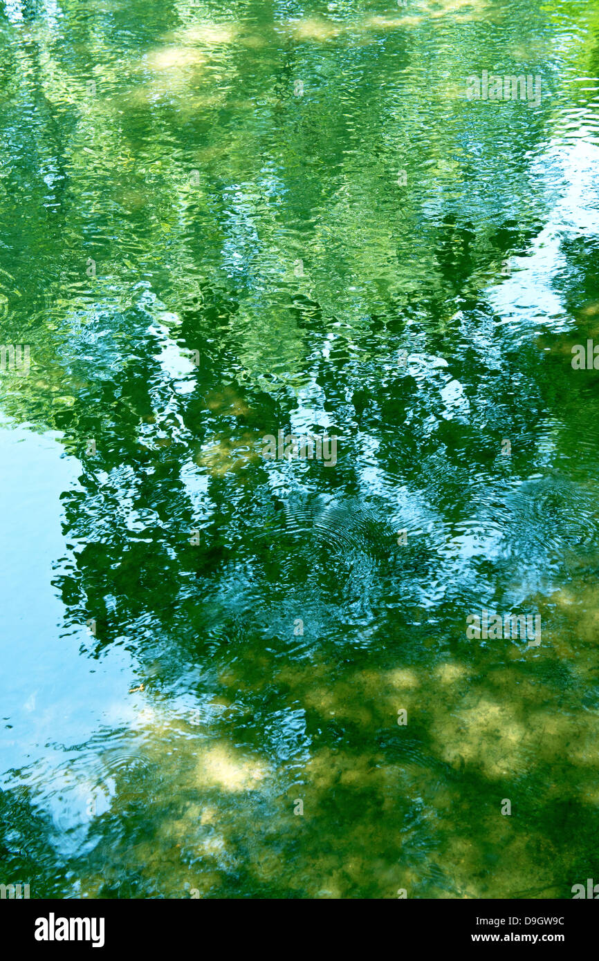 Reflections on a pond Stock Photo - Alamy