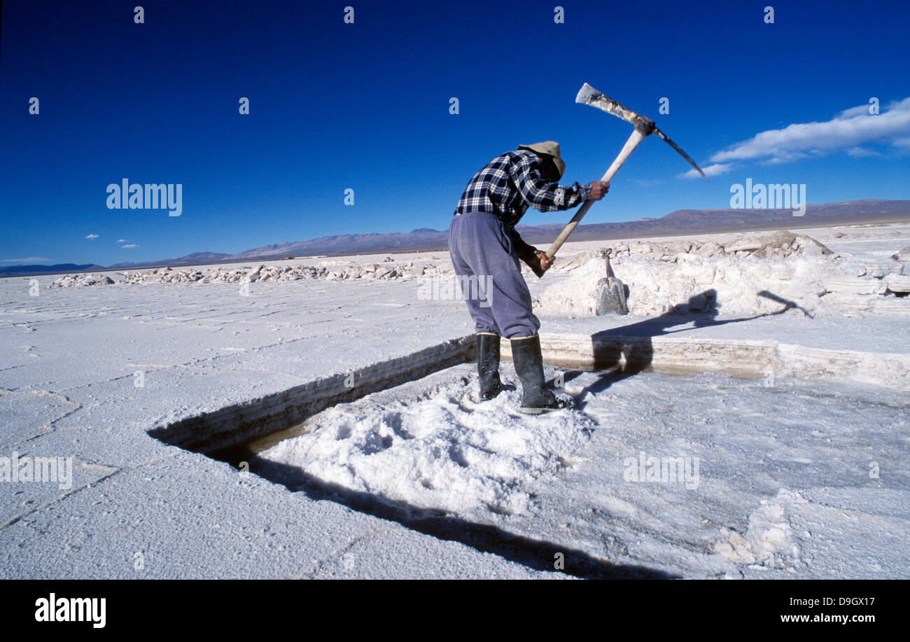Salinas Grandes. Salt collectors. Workers pick salt in small pools made ...