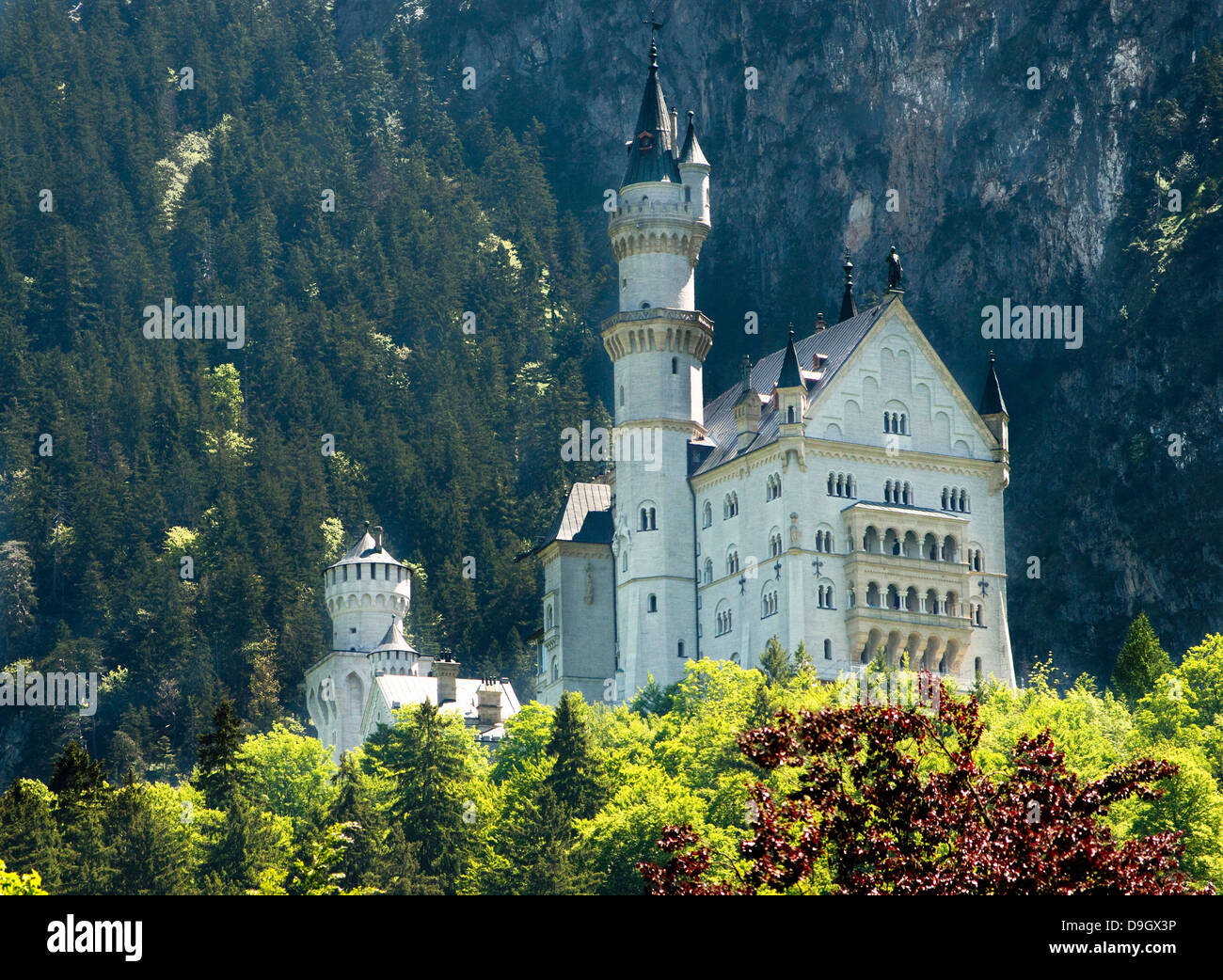 Castle in fuessen hi-res stock photography and images - Alamy