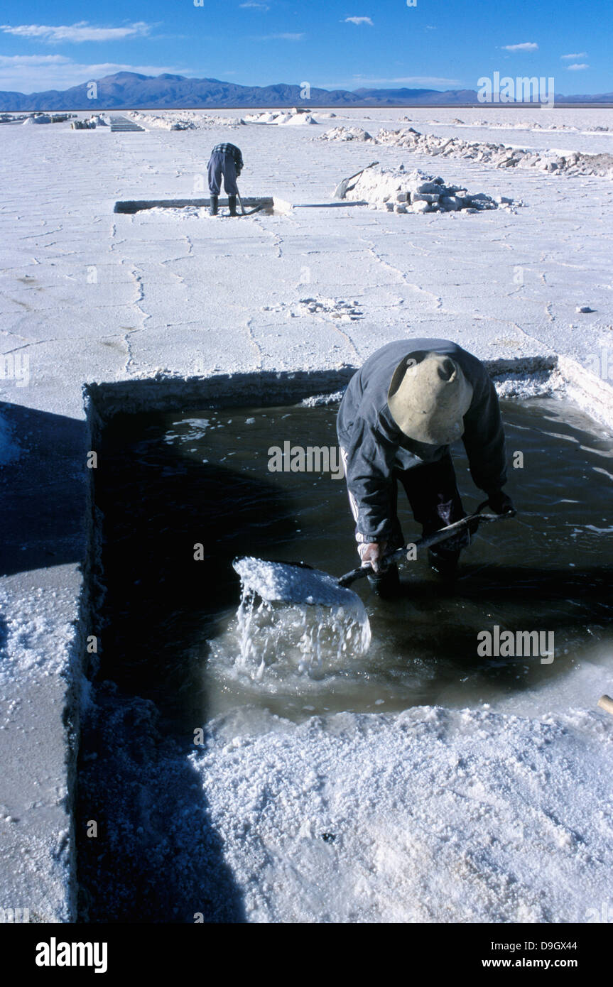 Salinas Grandes. Salt collectors. Workers pick salt in small pools made ...