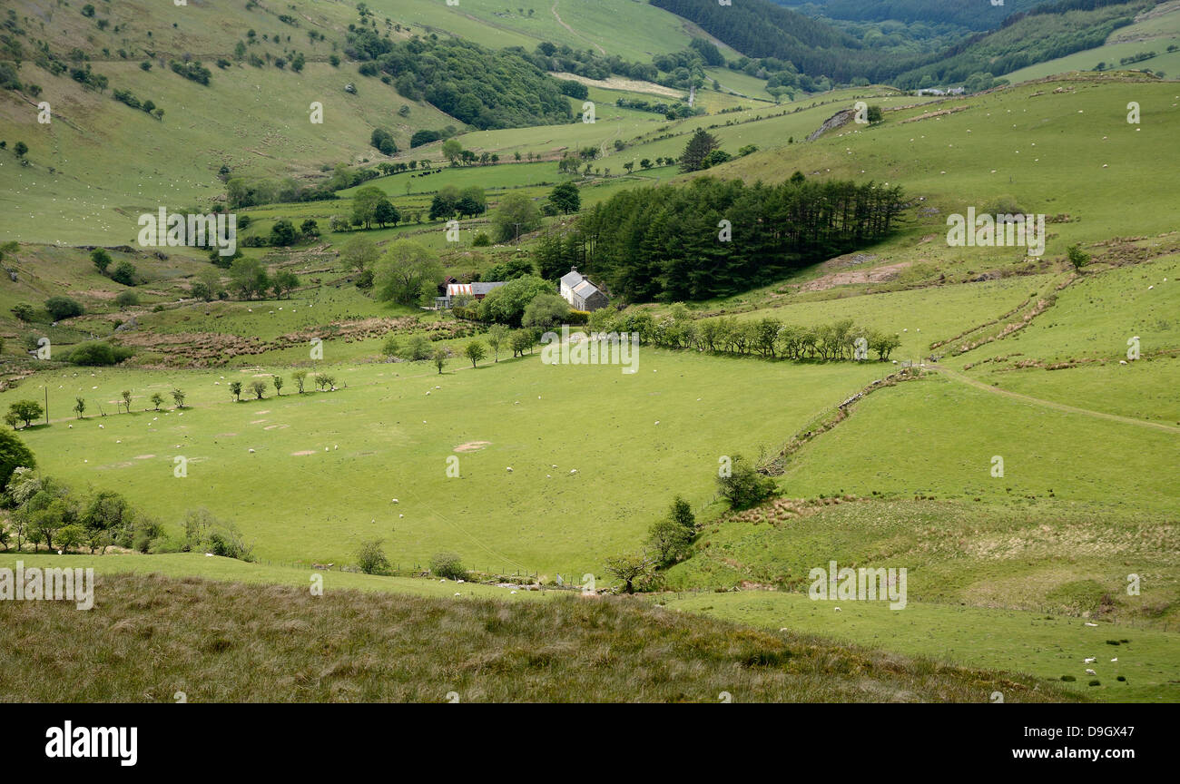 WELSH COUNTRYSIDE IN DYFED. WALES. UK Stock Photo - Alamy
