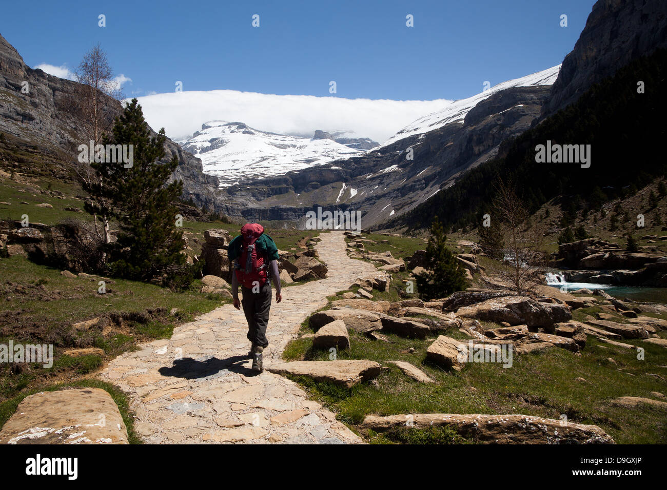 Gr11 hi-res stock photography and images - Alamy