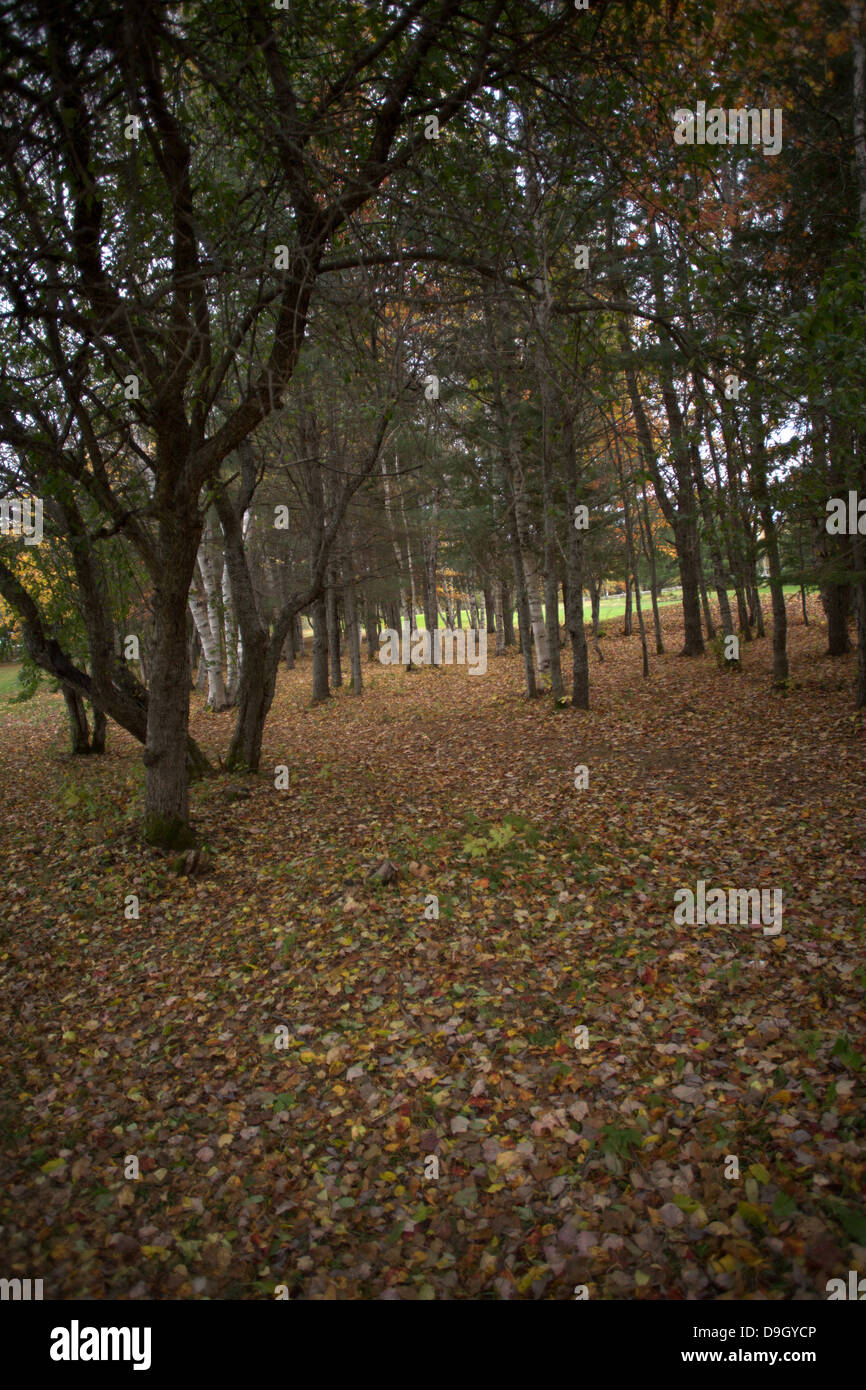 My losing season hi-res stock photography and images - Alamy