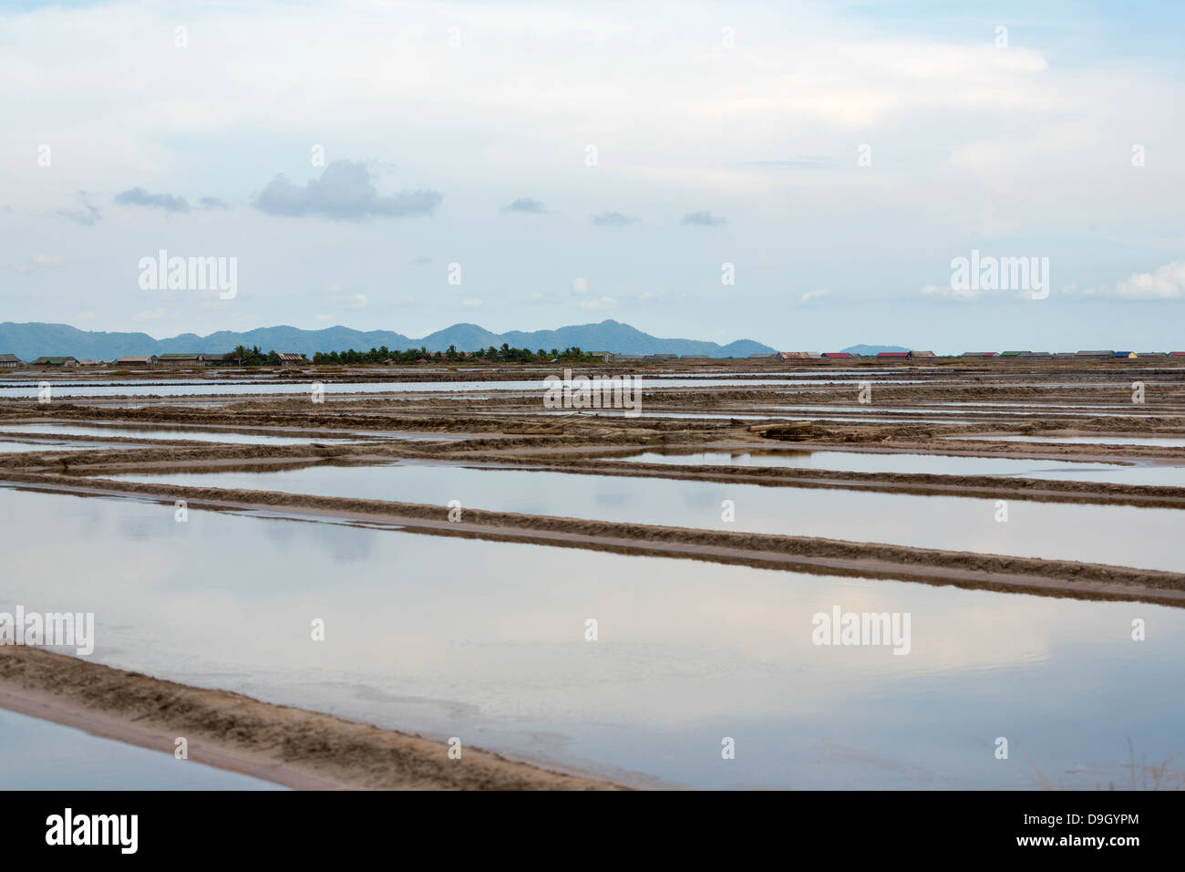 The Salt Fields of Kampot in Cambodia Stock Photo - Alamy