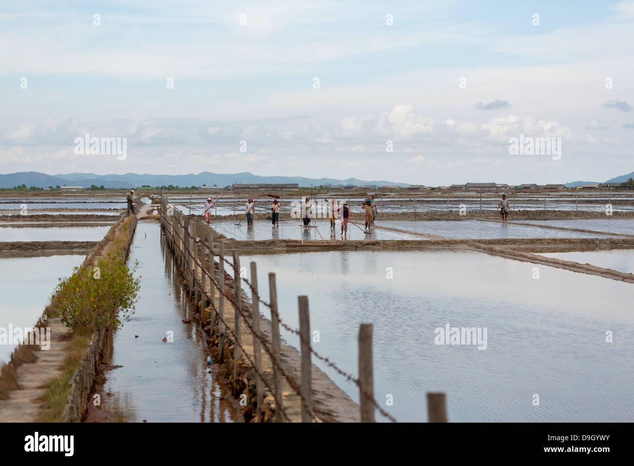 The Salt Fields of Kampot in Cambodia Stock Photo - Alamy