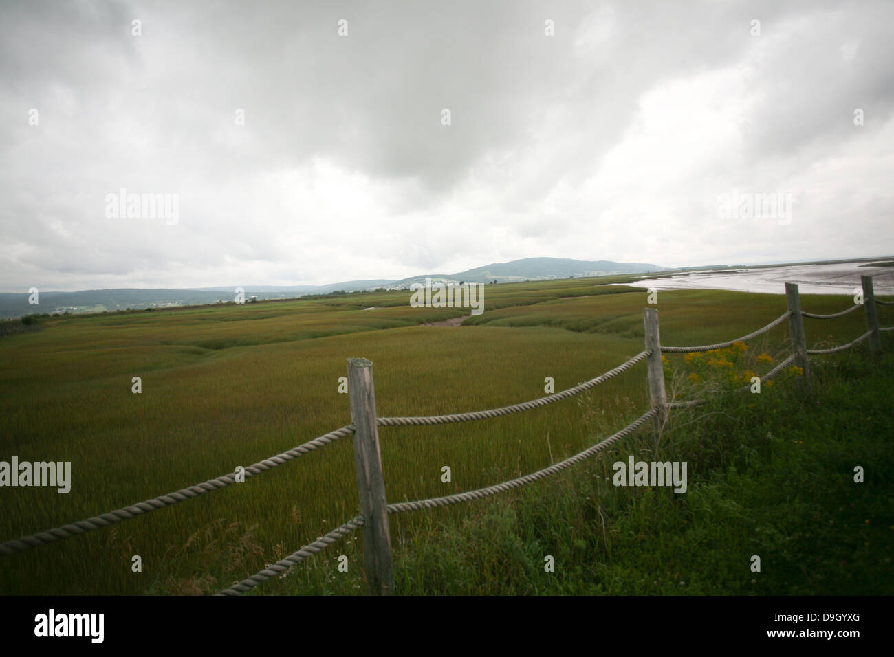 The Shepody River's surrounding Wetlands in New Brunswick Stock Photo ...
