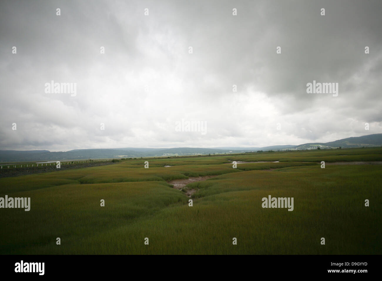 The Shepody River's surrounding Wetlands in New Brunswick Stock Photo ...