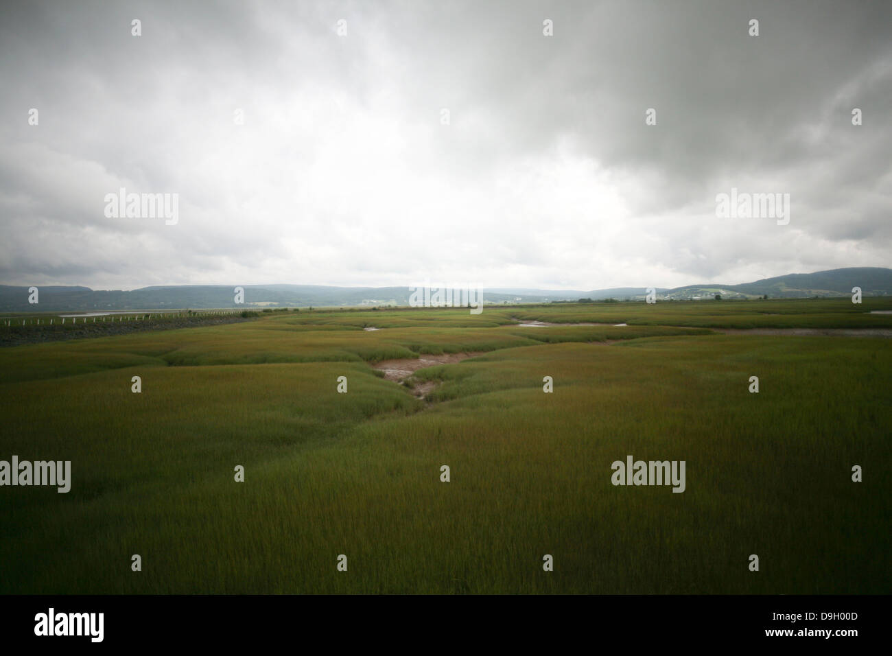 The Shepody River's surrounding Wetlands in New Brunswick Stock Photo ...