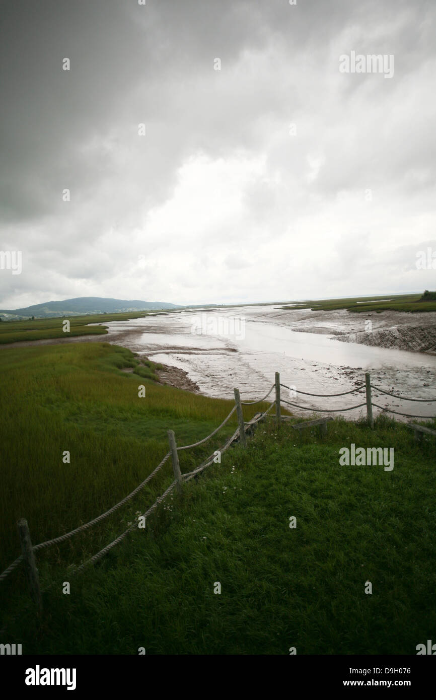 The Shepody River and its surrounding Wetlands in New Brunswick Stock ...