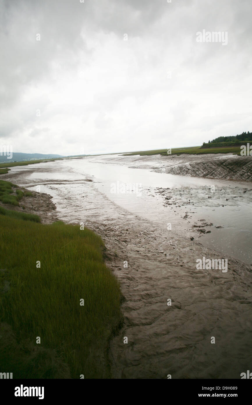 The Shepody River and its surrounding Wetlands in New Brunswick Stock ...