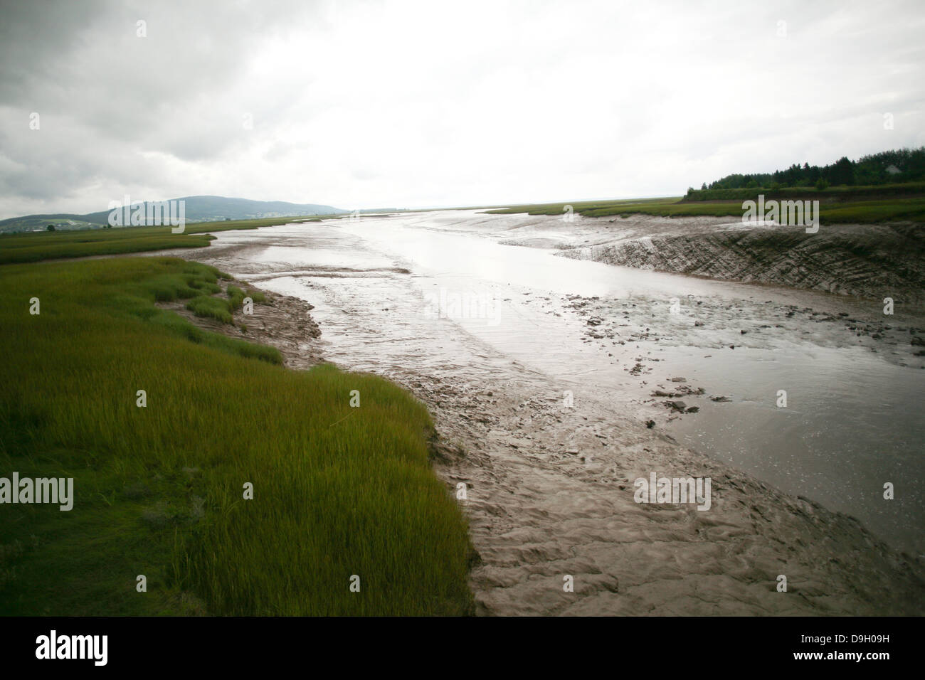 The Shepody River and its surrounding Wetlands in New Brunswick Stock ...