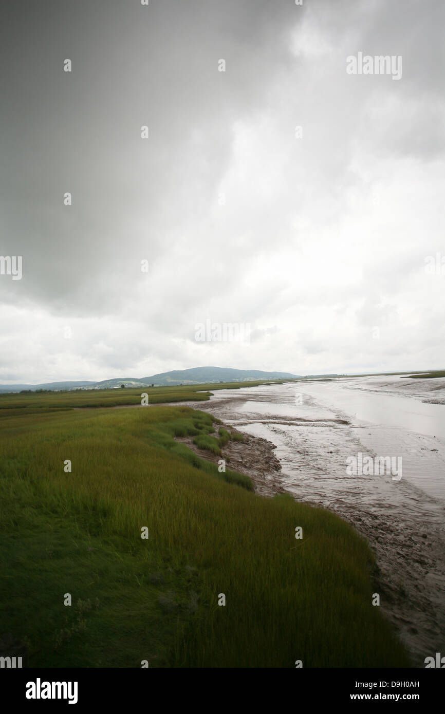 The Shepody River and its surrounding Wetlands in New Brunswick Stock ...