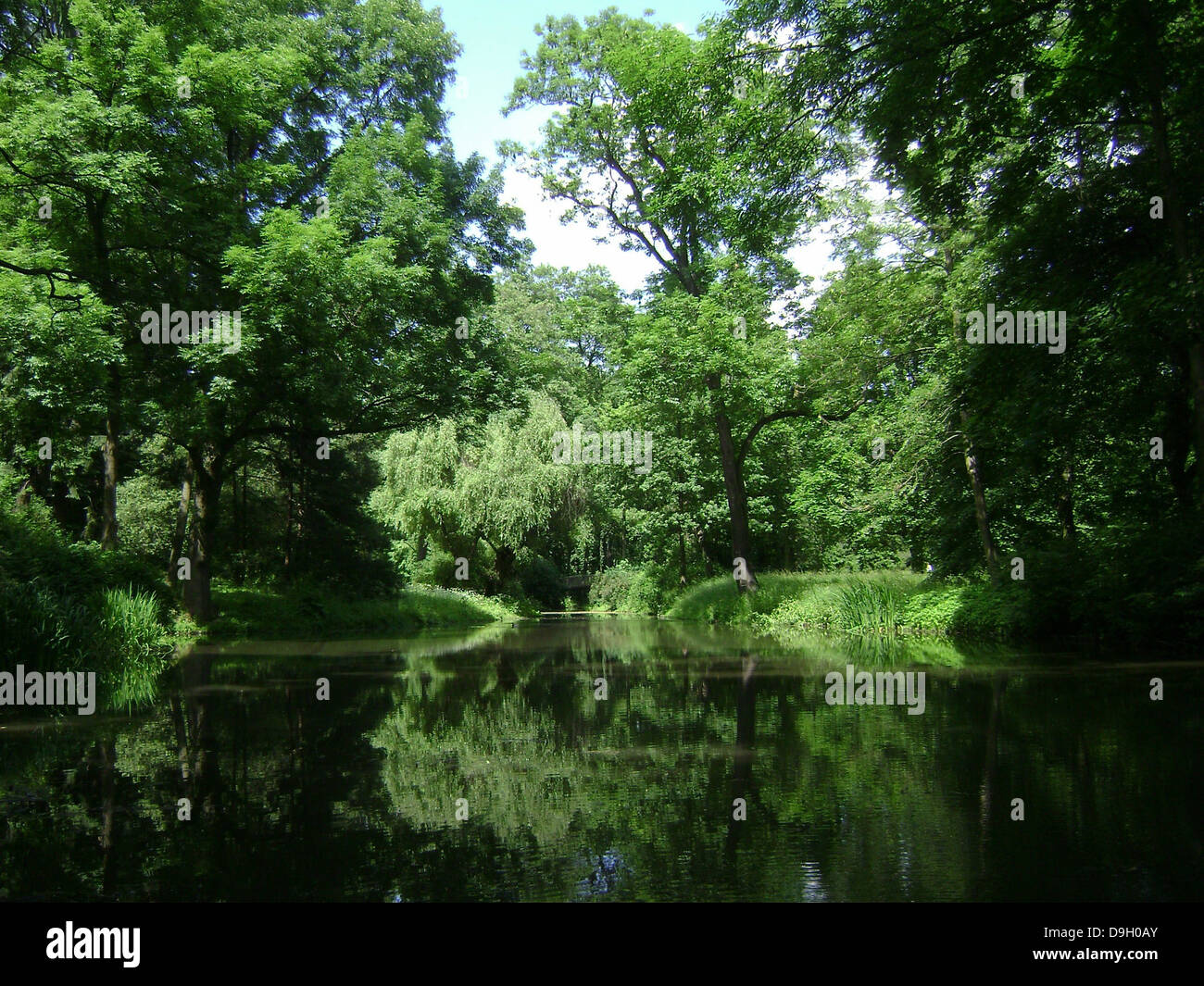 warsaw poland park forest trees woods lake pond Stock Photo - Alamy