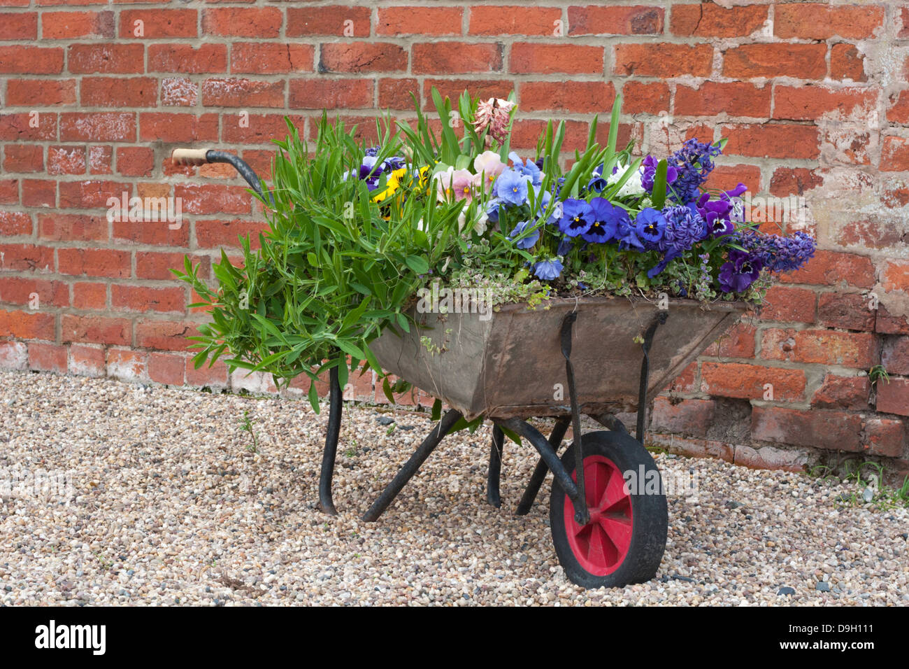 Wheelbarrow flower garden Stock Photo - Alamy