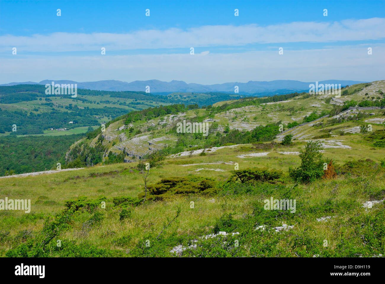 The limestone landscape of Whitbarrow Scar, Cumbria, England UK Stock ...
