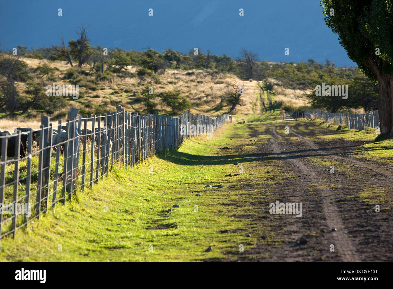 Ranch limit hi-res stock photography and images - Alamy