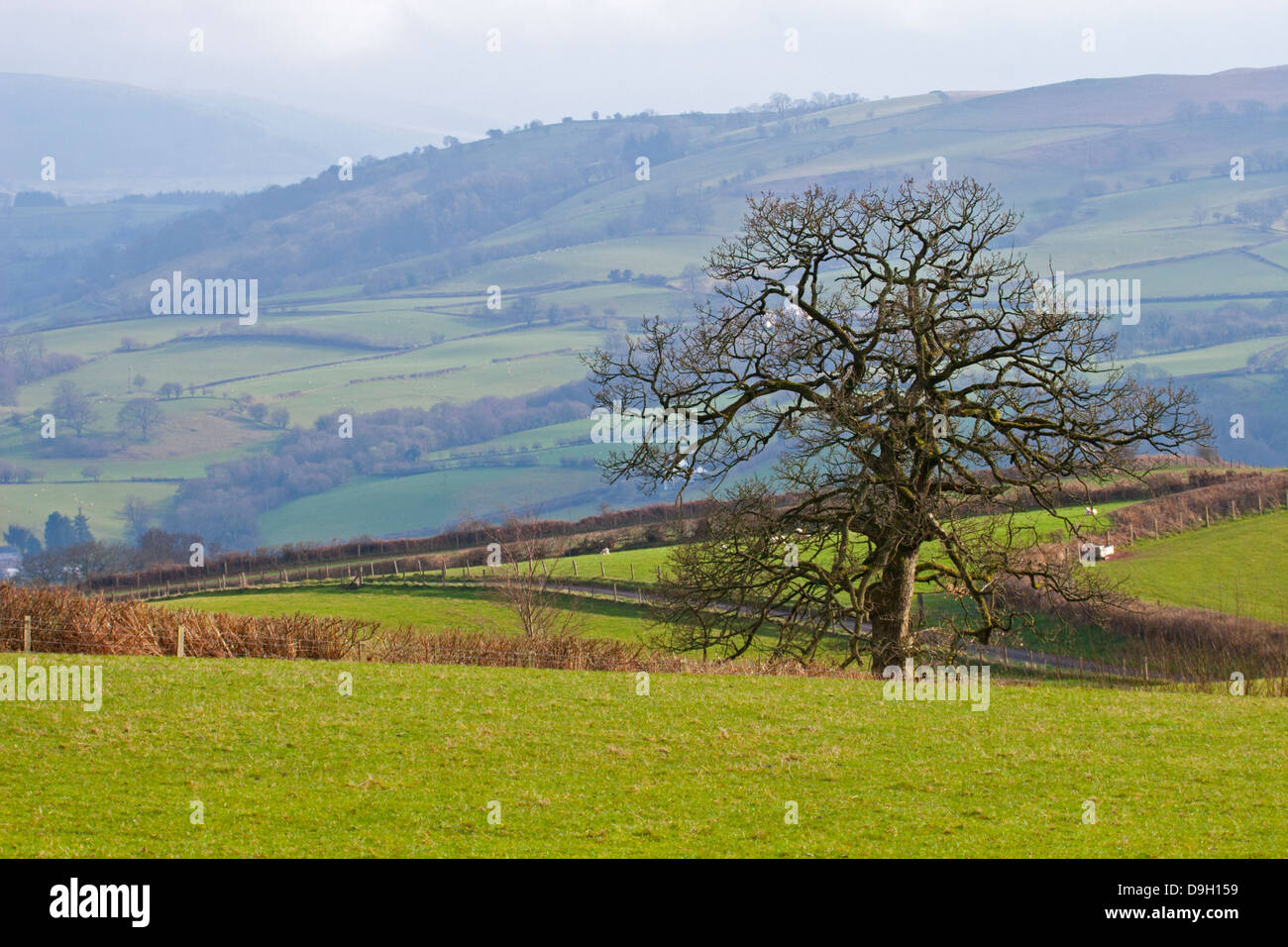 Wales spring springtime landscape hi-res stock photography and images ...