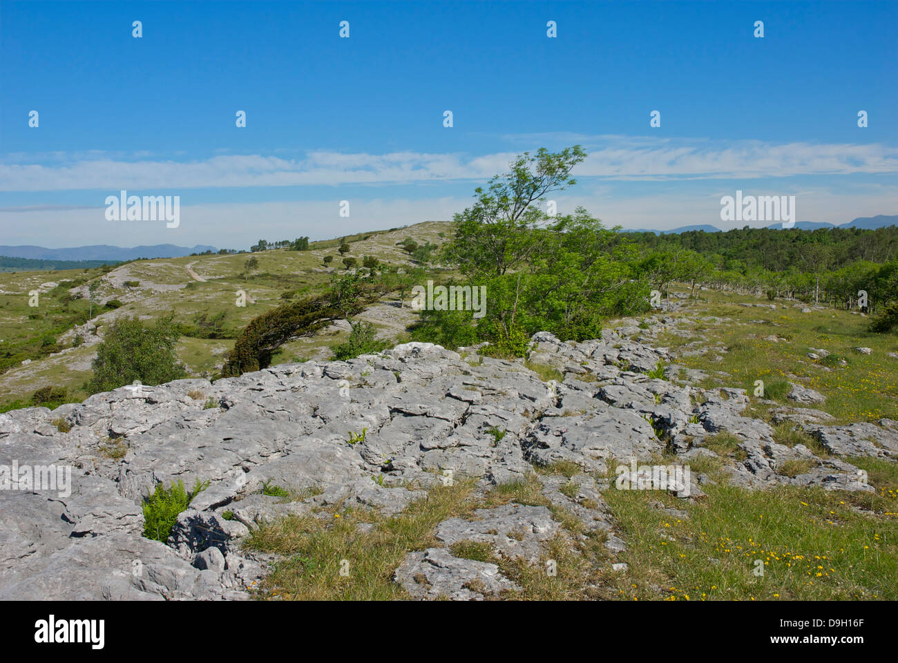 Whitbarrow scar hi-res stock photography and images - Alamy