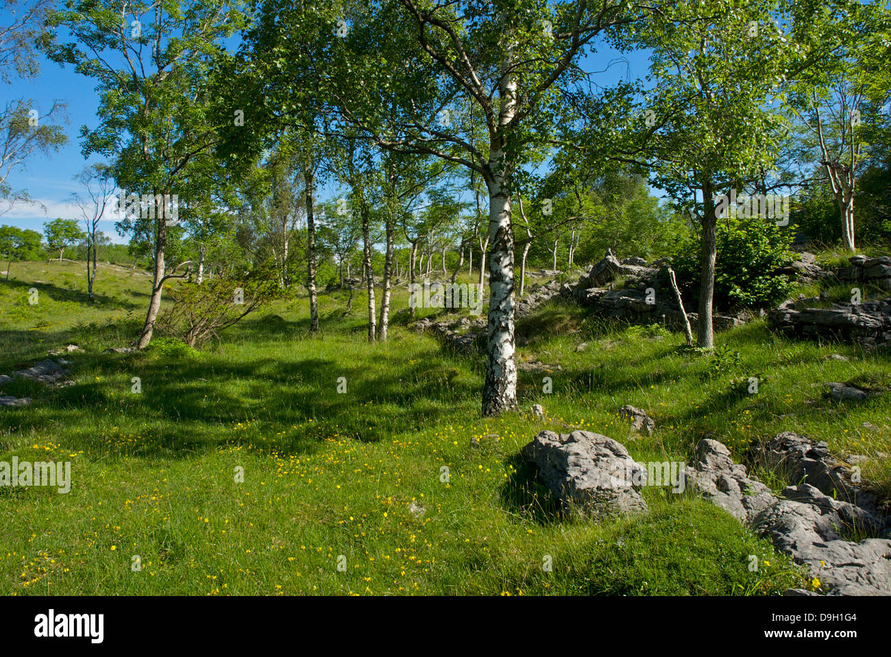 Landscape scar hi-res stock photography and images - Alamy