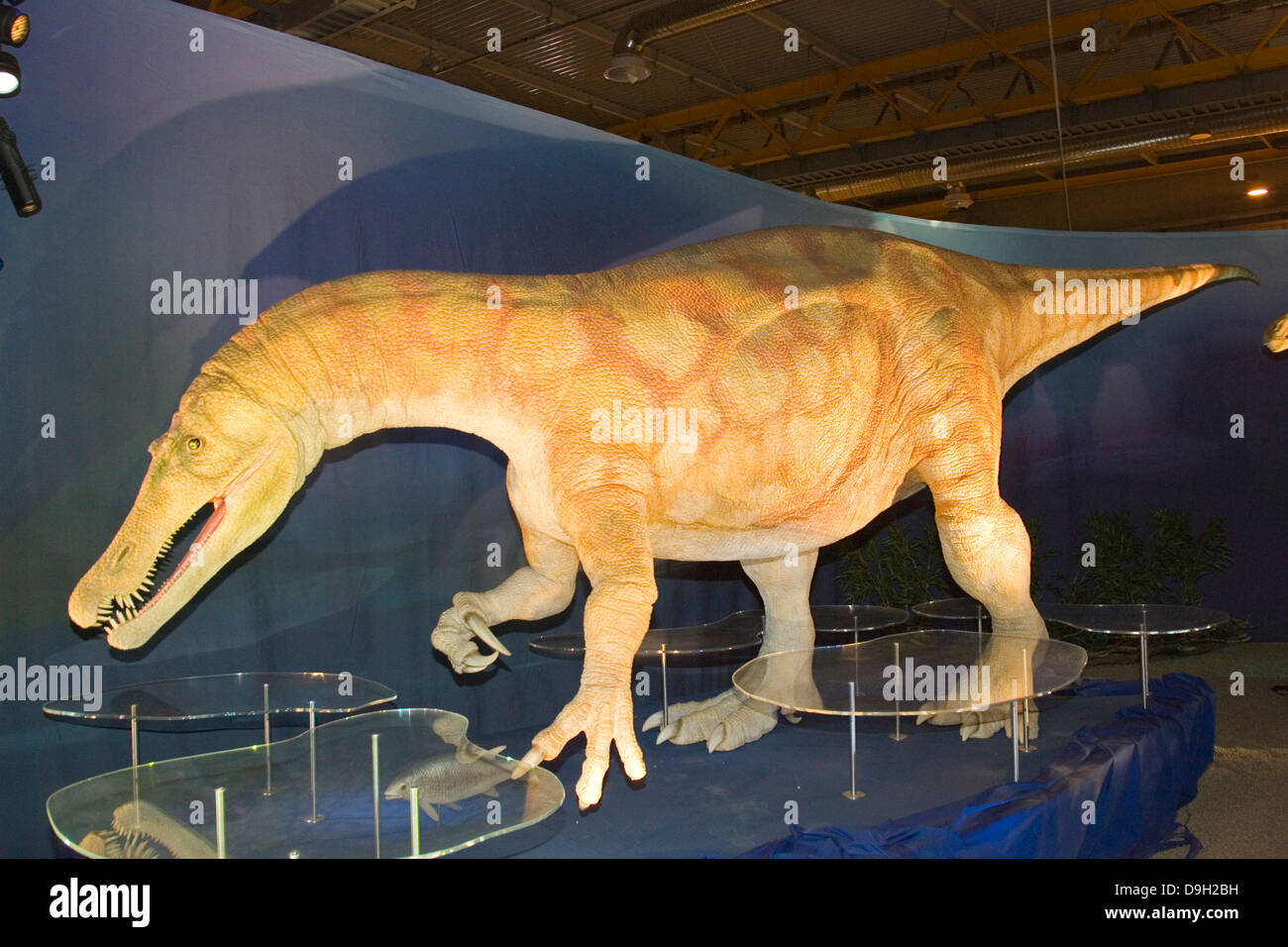 Exhibition animals hi-res stock photography and images - Alamy