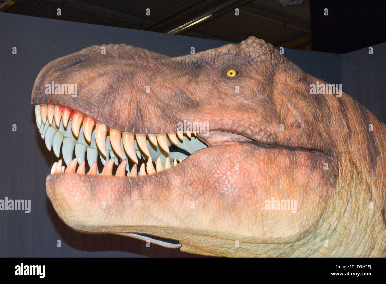 europe, italy, lombardia, cremona, exhibition of reproduction of ...