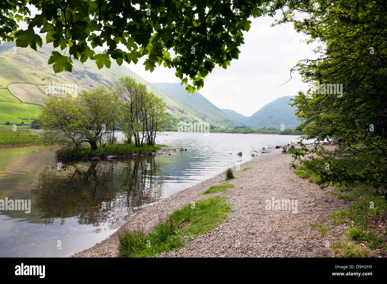 Uk brotherswater lake framed by trees summer lake hi-res stock ...
