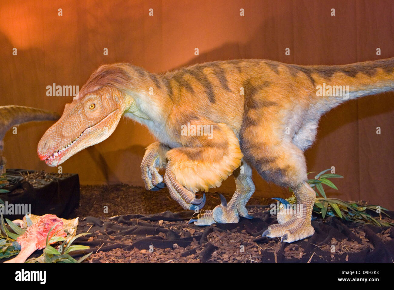 europe, italy, lombardia, cremona, exhibition of reproduction of ...