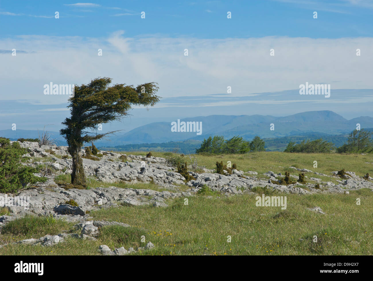 Whitbarrow scar hi-res stock photography and images - Alamy